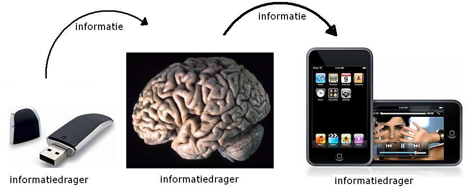 3. Het mysterie van de informatie.